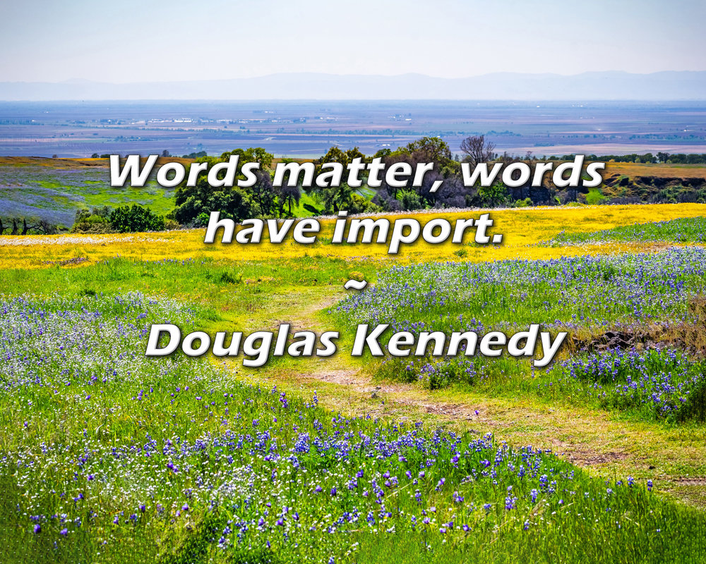 Trinx Douglas Kennedy Quote: Words matter, words have import. | Wayfair