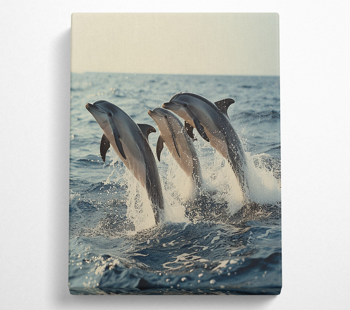 House of Hampton Three Dolphins Canvas Print | Wayfair.co.uk