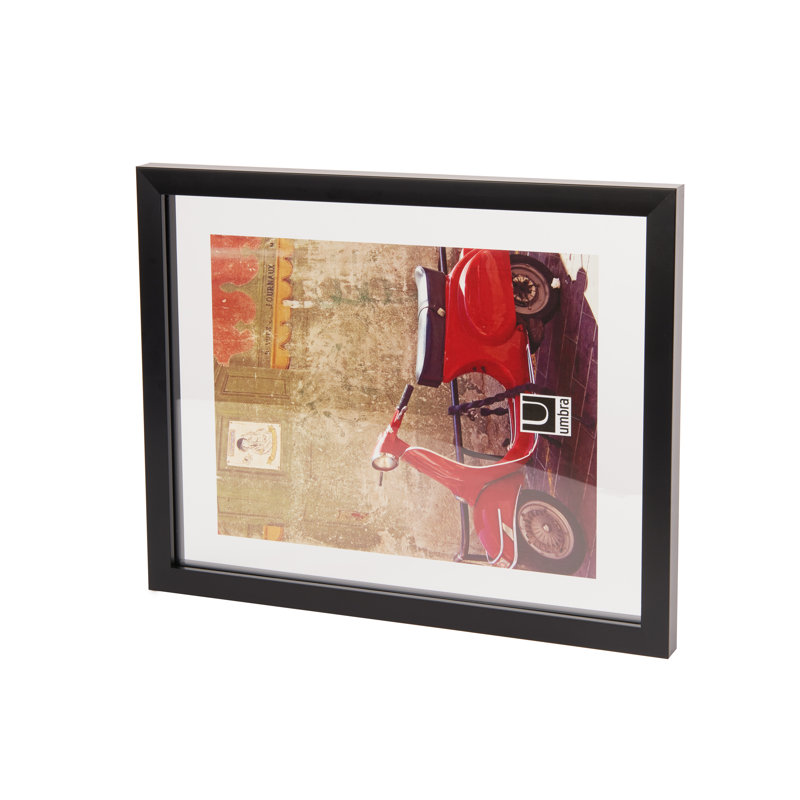 Umbra Document Picture Frame & Reviews | Wayfair