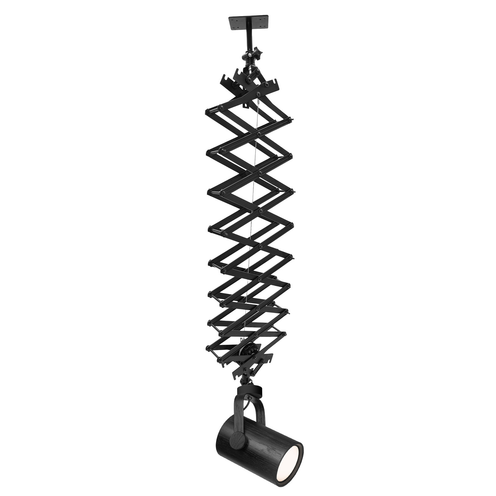 DENFER Length Adjustable Wall Mounted Photo Light Hanger | Wayfair