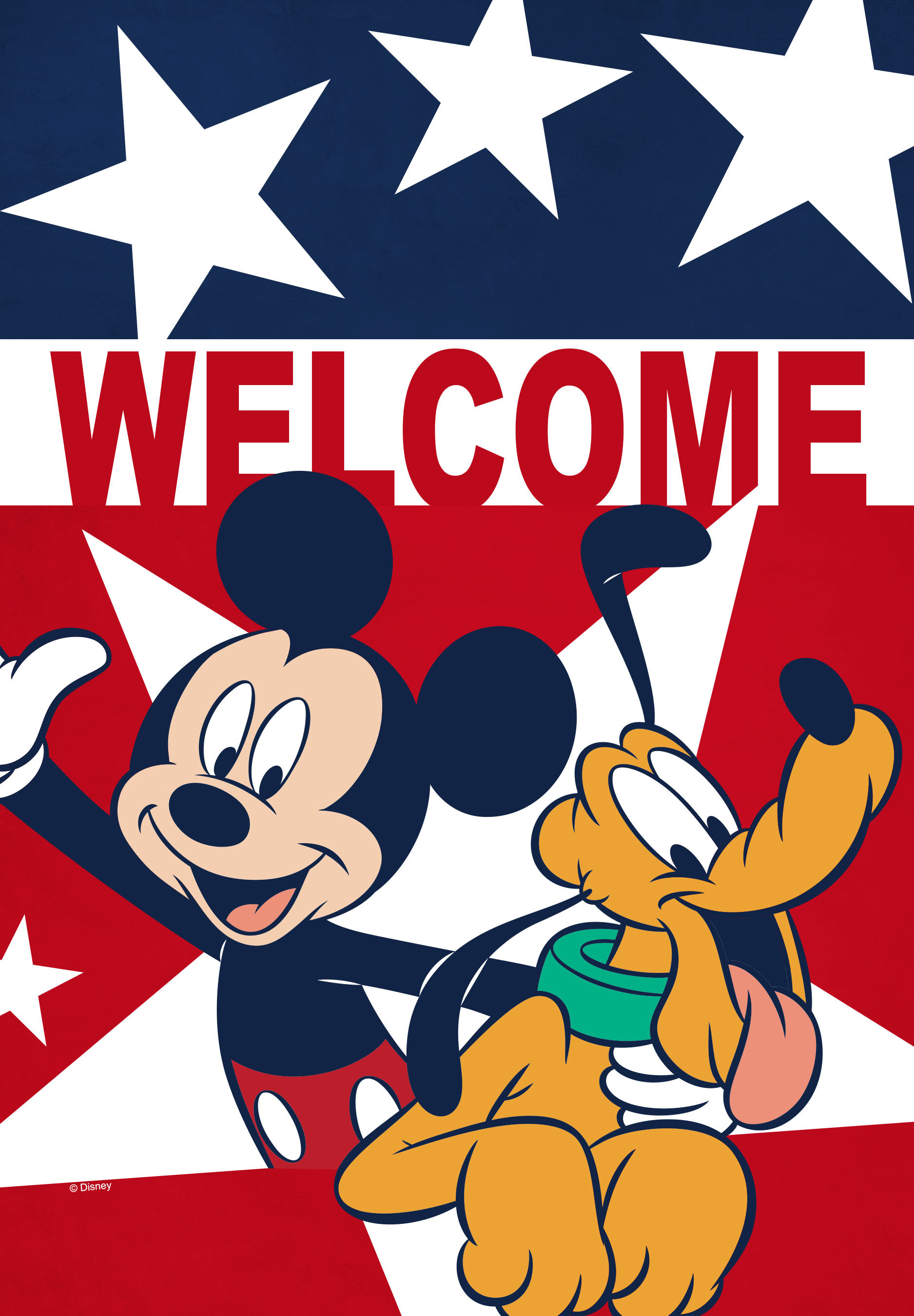 Back Yard Glory Disney Mickey Mouse & Pluto Spangled Welcome Garden ...