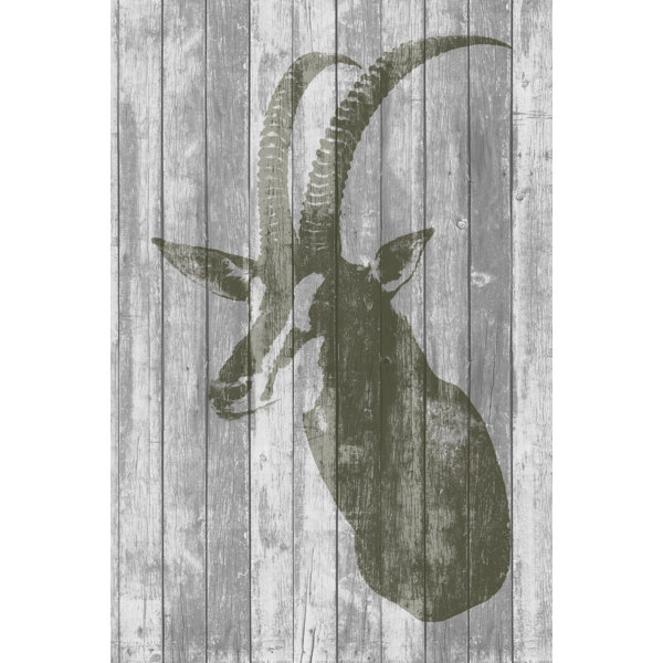 Union Rustic Rustic Bust II by Jennifer Goldberger - Wrapped Canvas ...