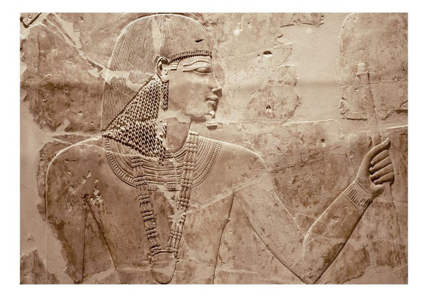 Dakota Fields Berdi Stone Pharaoh Wall Mural | Wayfair