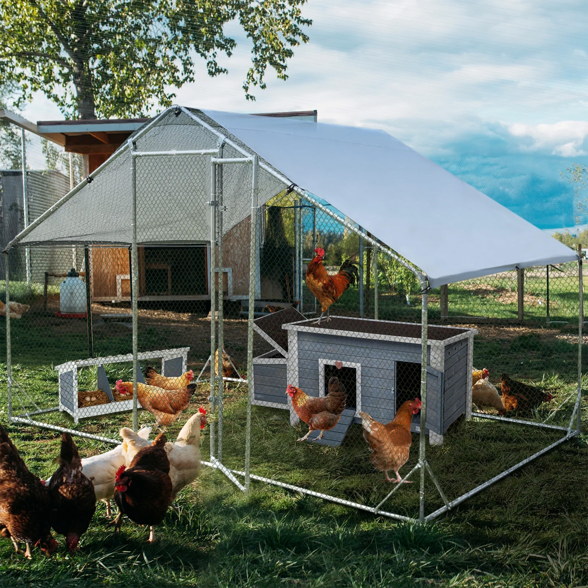 Archie & Oscar™ Large Metal Chicken Enclosure Run,Outdoor Chicken House ...
