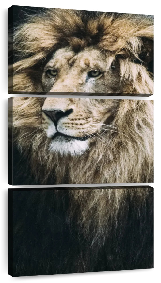 Highland Dunes Old Lion | Wayfair