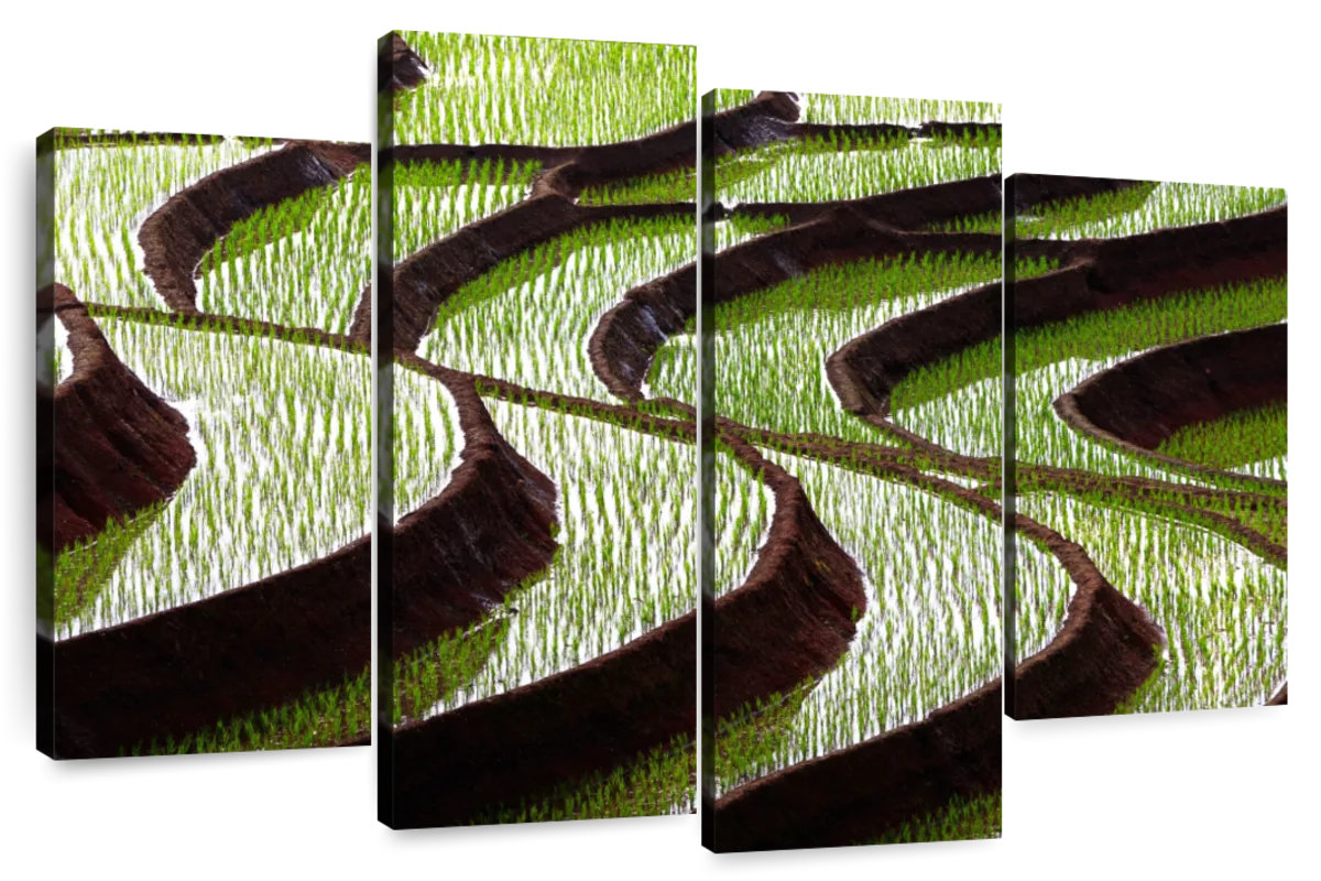 Millwood Pines Alvord Curvy Rice Terraces | Wayfair