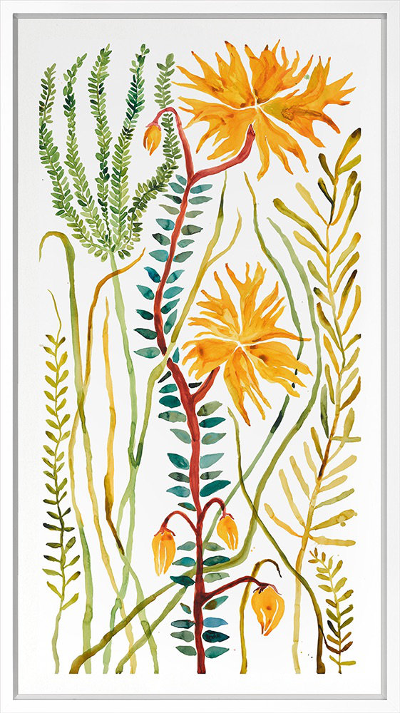 Grand Image Home Wildflowers 16 by Judith Bigham - Floater Frame ...