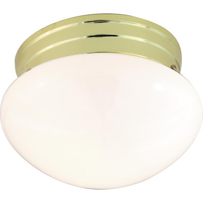 Winston Porter Janice 1 - Bulb Outdoor Flush Mount & Reviews | Wayfair