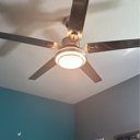 Orren Ellis Tavin 5 - Blade LED Stainless Steel Ceiling Fan with Remote ...