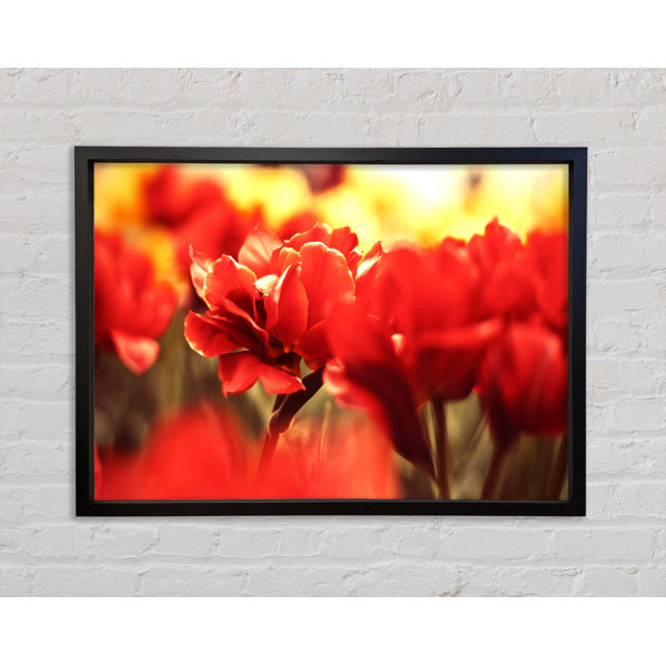 Bright Star Schöne rote Blumen - Druck | Wayfair.de