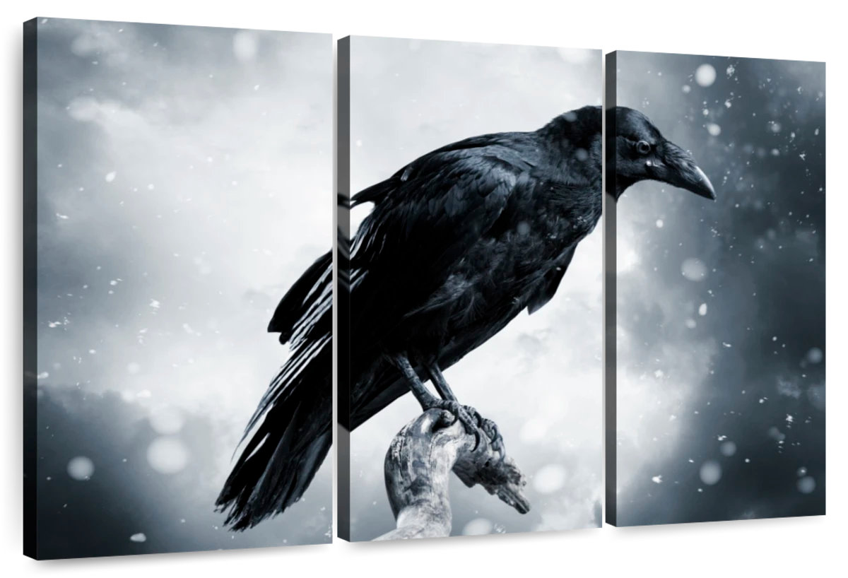 Ebern Designs Brampt Black Raven Bird - Wayfair Canada
