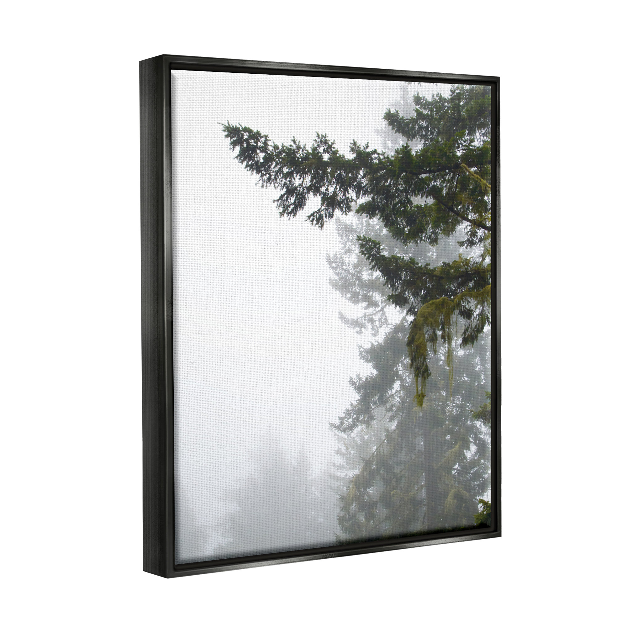 Red Barrel Studio® Majestic Pine Tree Overhang Framed On Canvas by ...