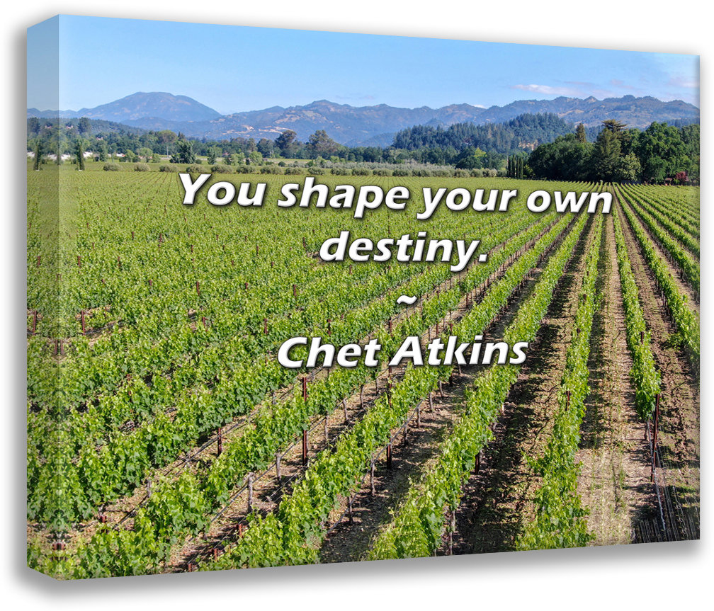 Trinx Chet Atkins Quote: You shape your own destiny. | Wayfair