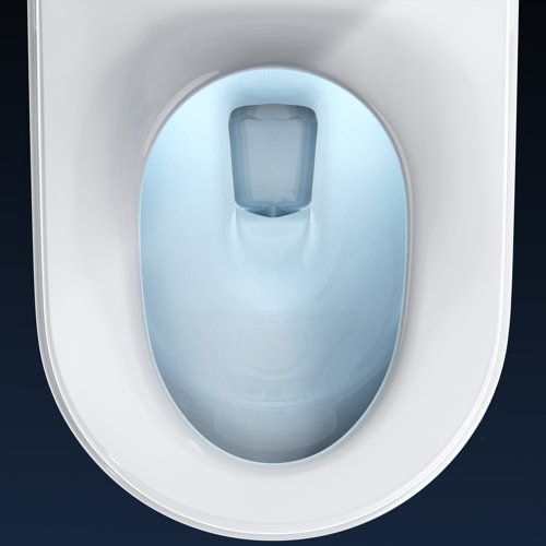 Jade Bath 1.6 Gallons GPF Elongated Floor Mounted Bidet Toilet (Seat ...