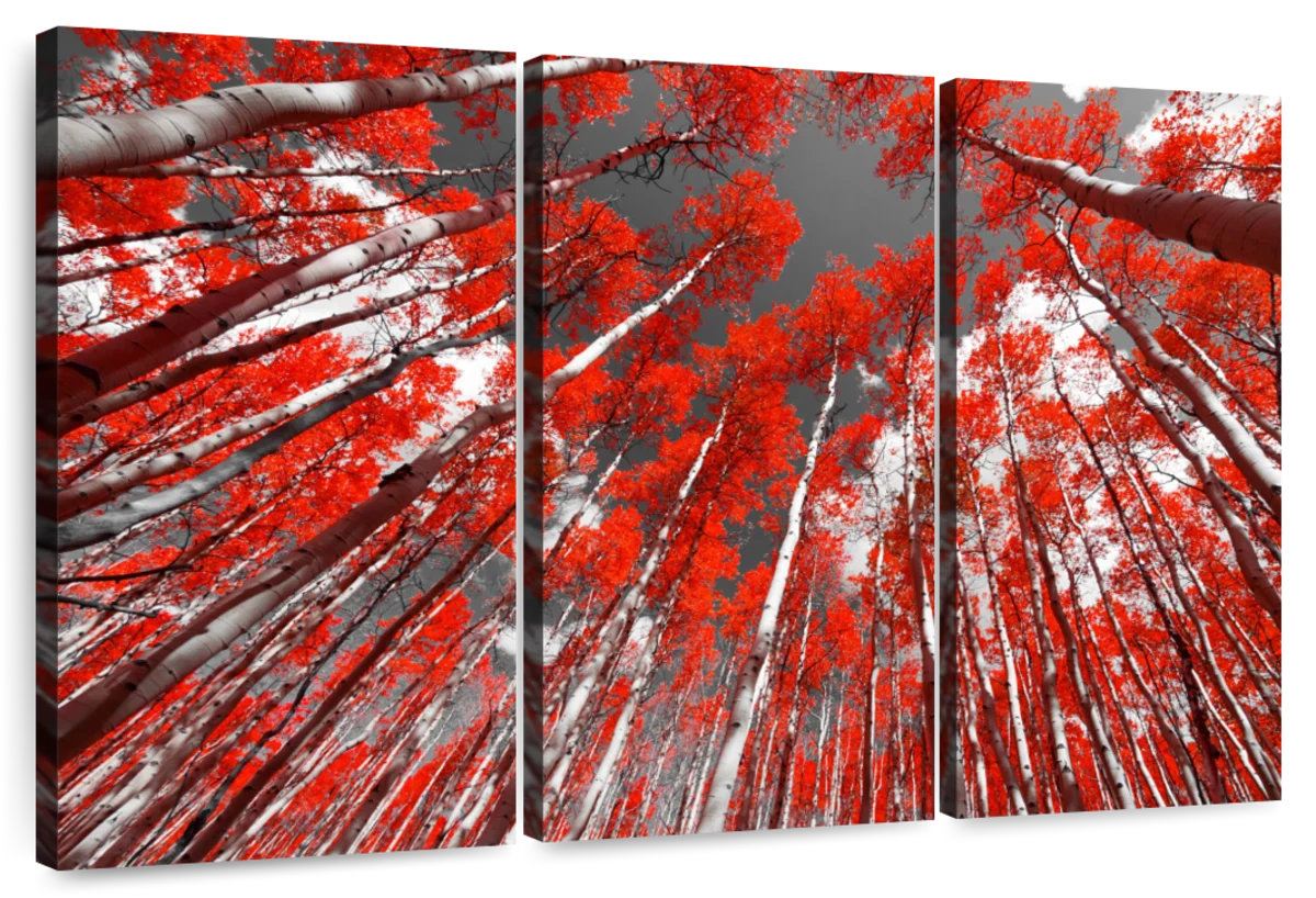 Lark Manor™ Harnek Red Forest Trees | Wayfair