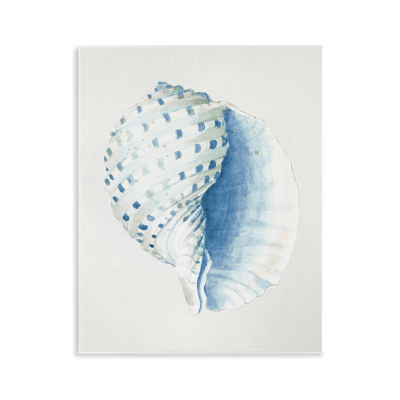 Highland Dunes Spotted Conch Shell Wall Plaque Art by Patricia Pinto ...