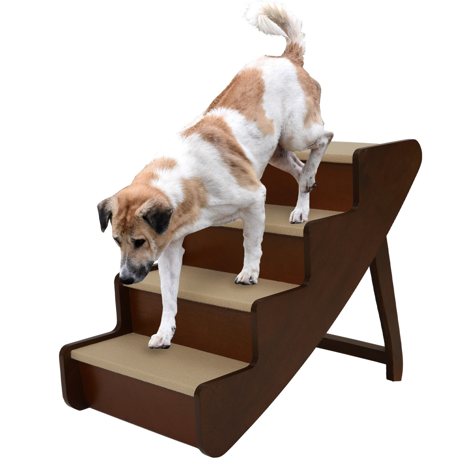 Tucker Murphy Pet™ 4 Step Stairs - Wayfair Canada