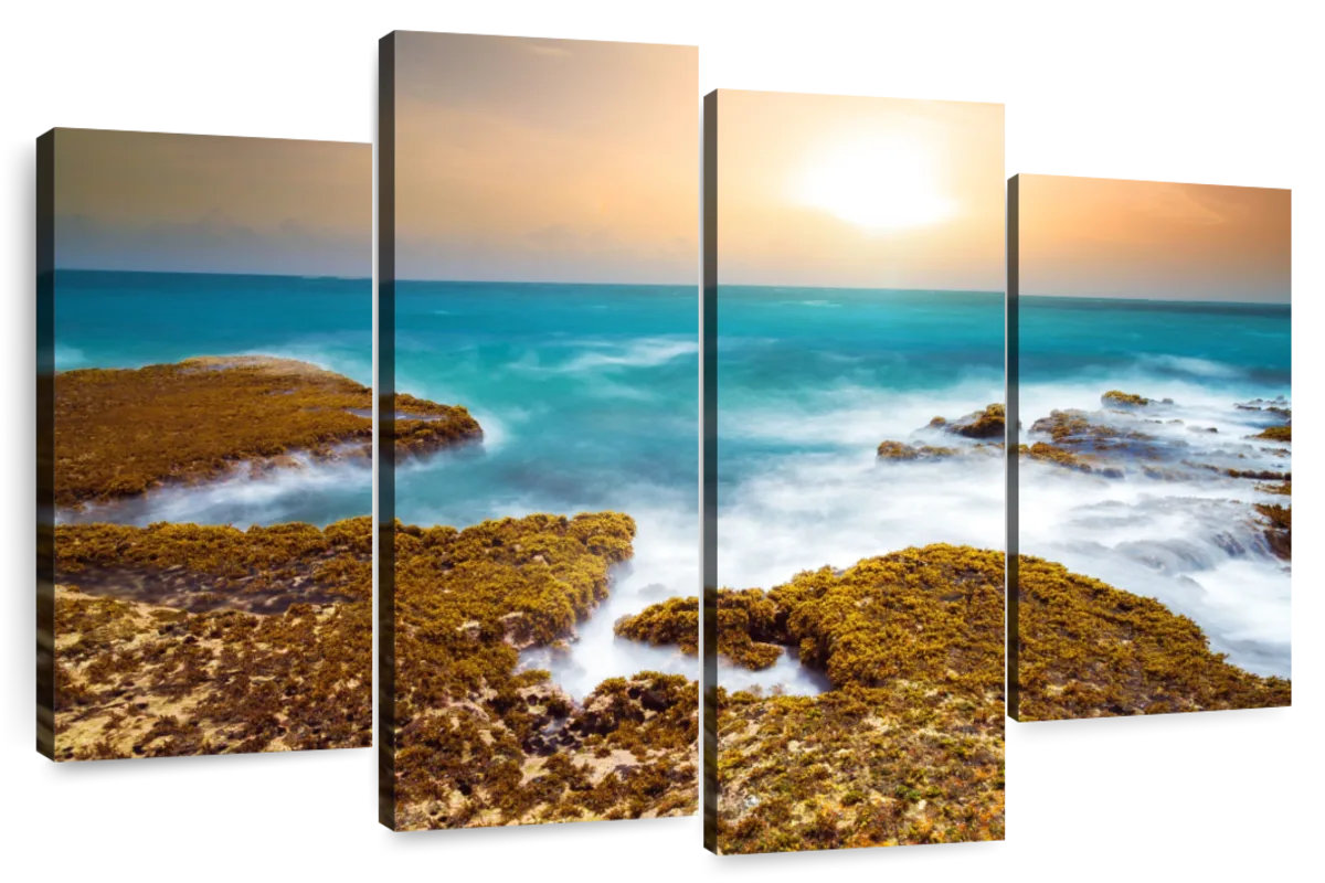 Elephant Stock Puerto Rican Beach | Wayfair