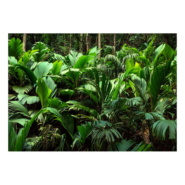 Bay Isle Home™ Anaijah Wall Mural | Wayfair