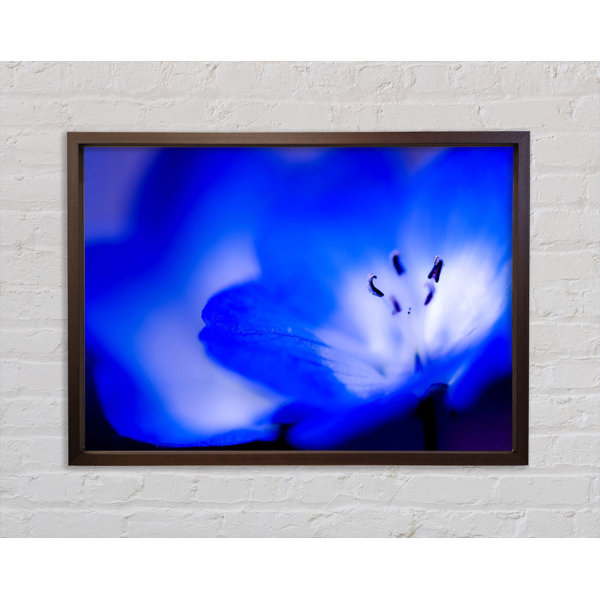 Bright Star Electric - Single Picture Frame Art Prints on Canvas ...