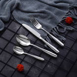 ANNOVA Stainless Steel Flatware Set - Service for 6 & Reviews | Wayfair
