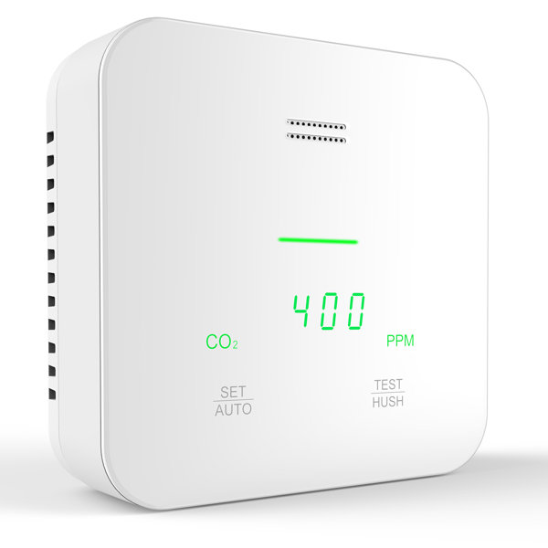 Ecoey Carbon Dioxide Detector | Wayfair