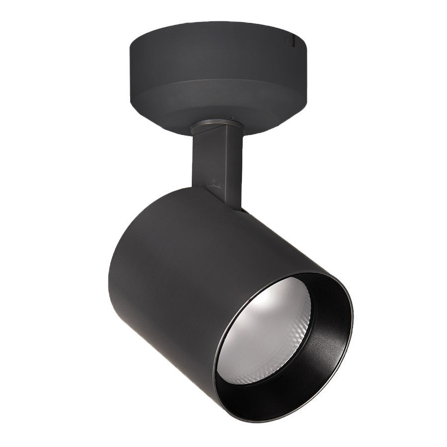 WAC Lighting Lucio Outdoor Security Spot Light | Wayfair
