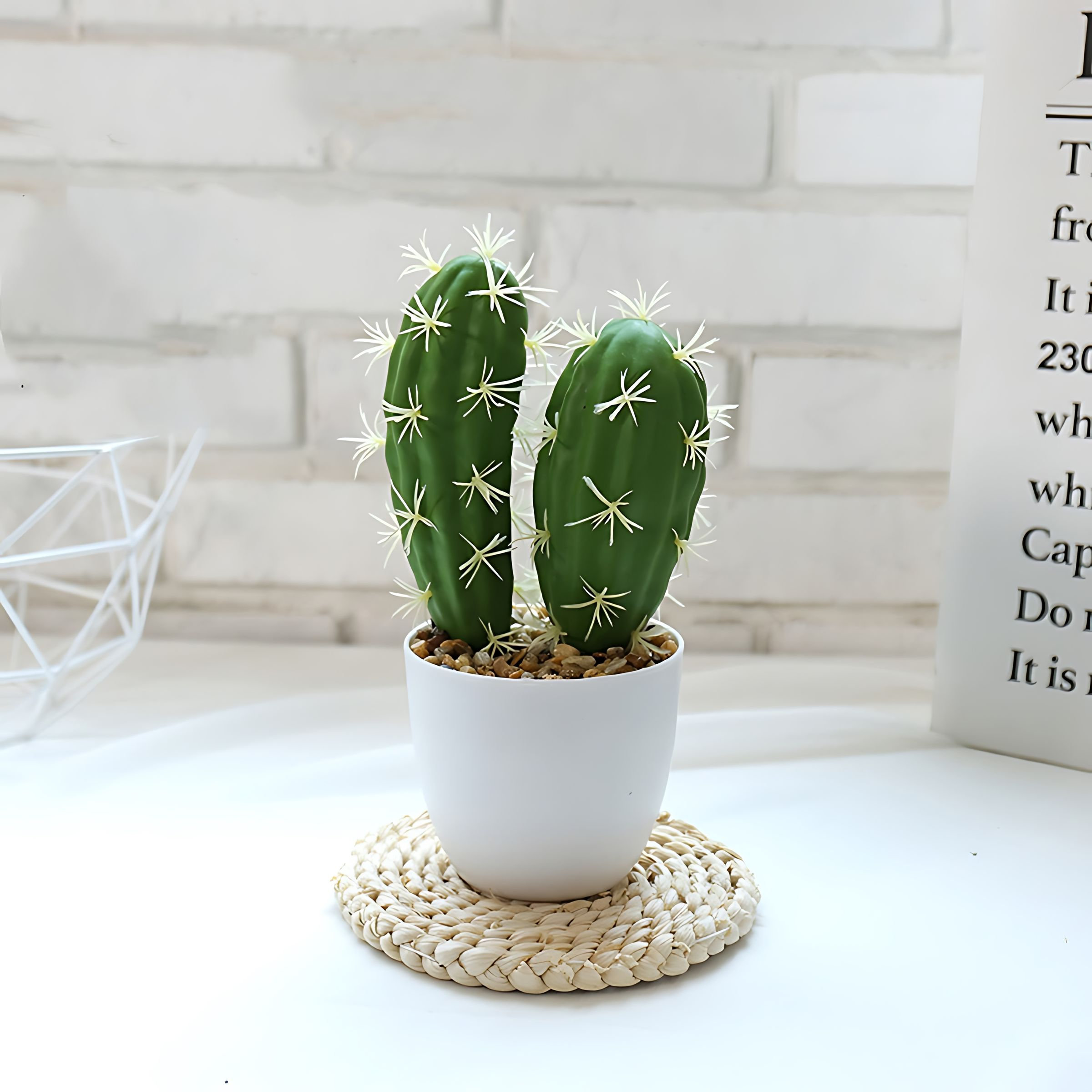 Dakota Fields Nordic Green Plants, Indoor Cacti, Small Potted Plants ...