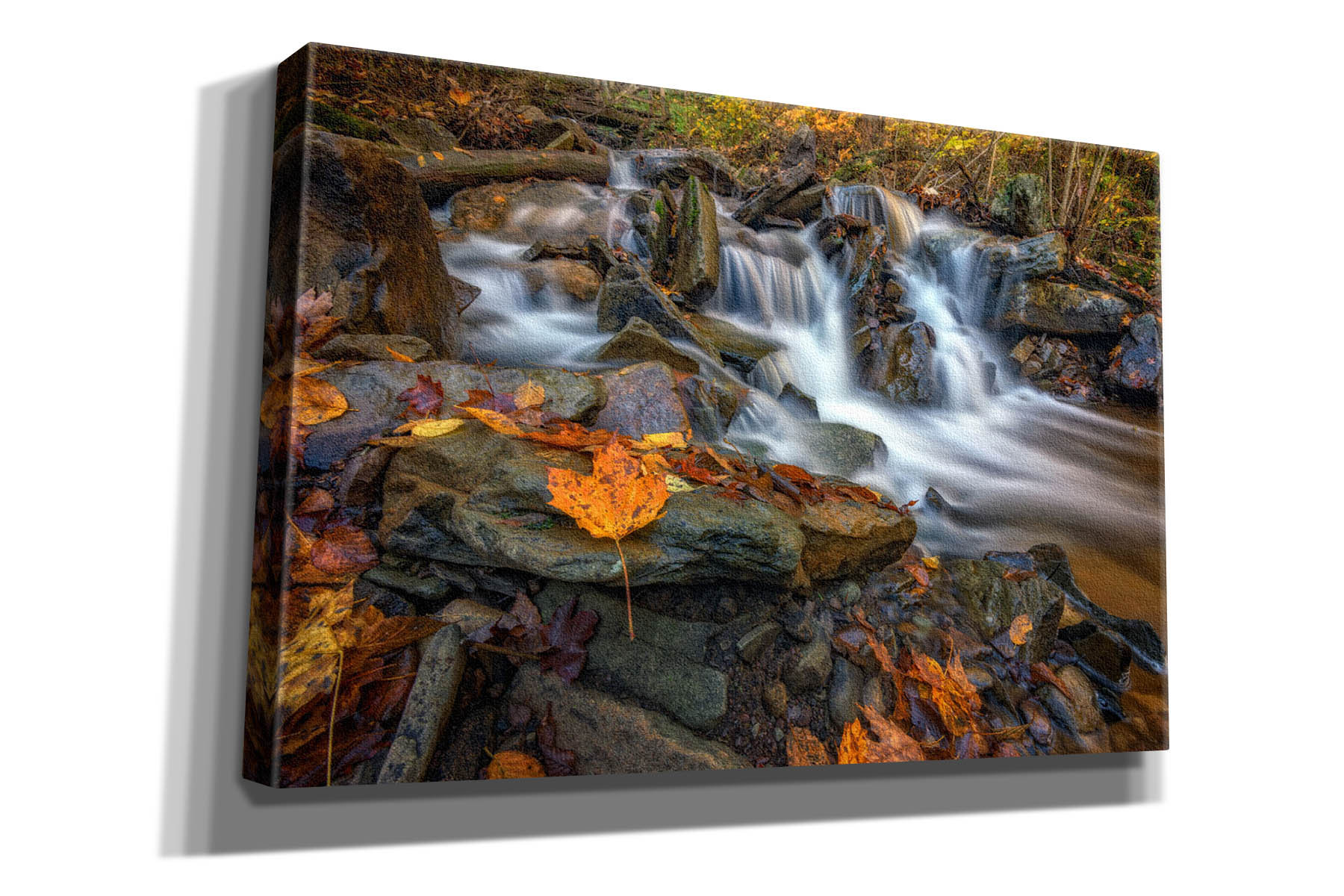 Epic Graffiti 'Fallen Leaf In Ricketts Glen' by Rick Berk Canvas Wall ...
