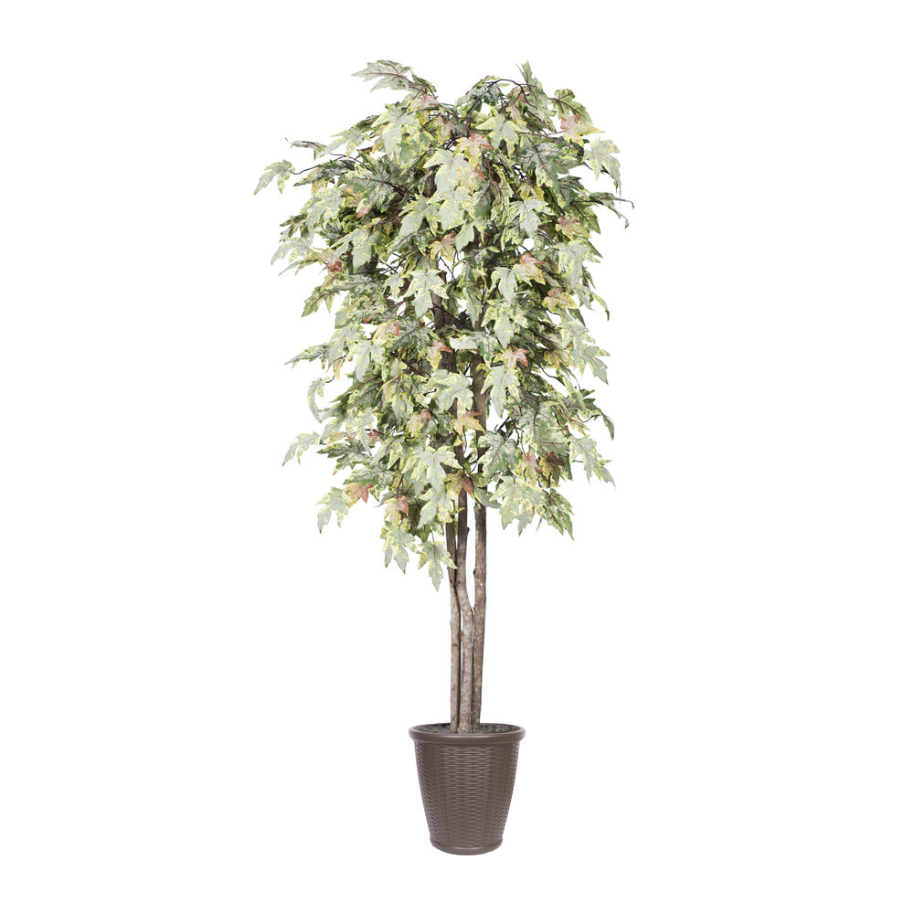 Primrue 72" Artificial Maple Tree in Pot | Wayfair