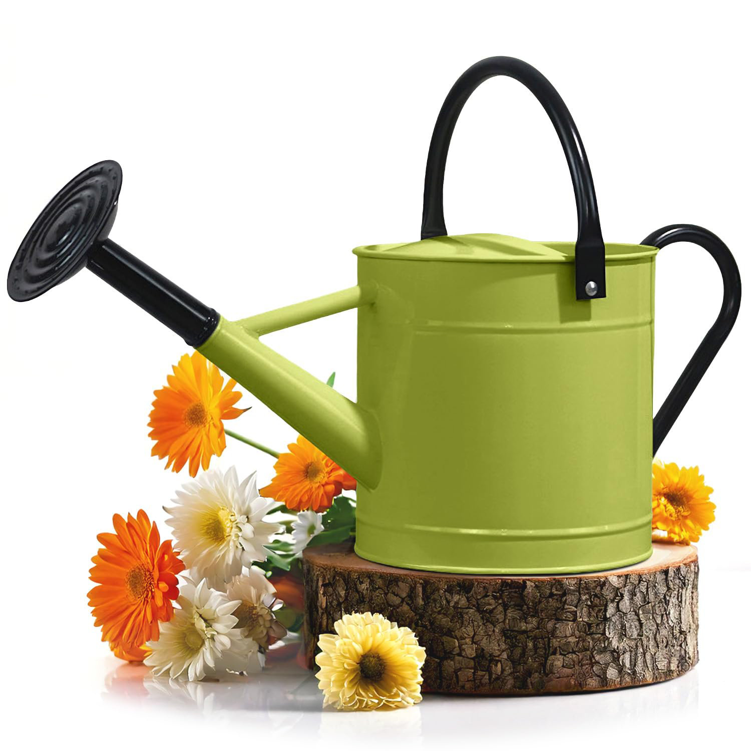 FEIYAN 1 Gallon Watering Can Metal, Green Garden Metal Watering Can Outdoor, Indoor Metal ...