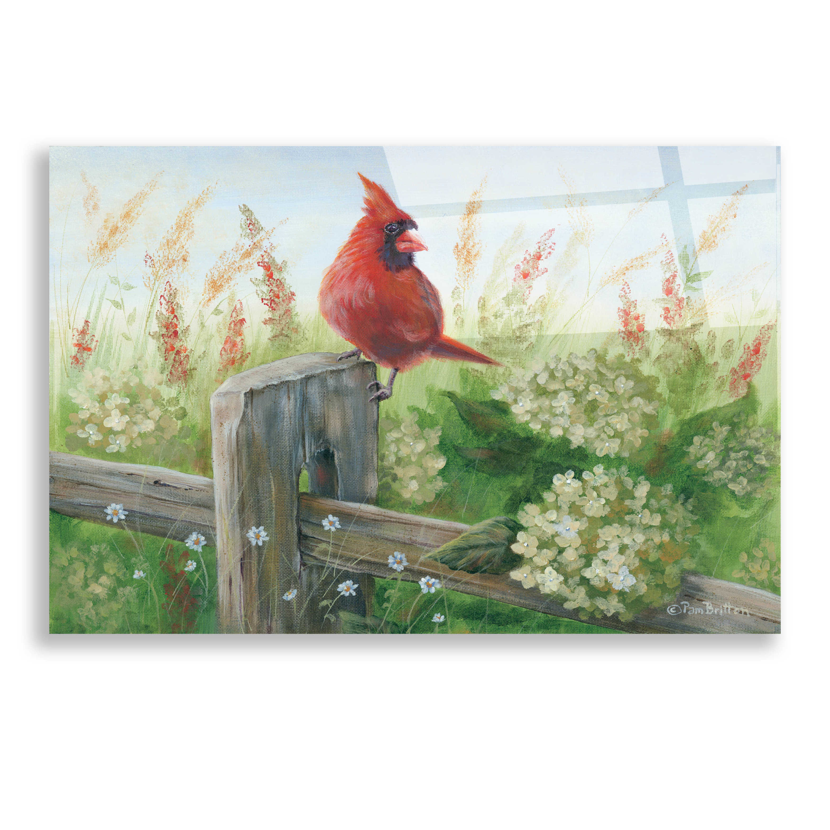 The Holiday Aisle® Cardinal on Fence by Pam Britton - Unframed Print ...