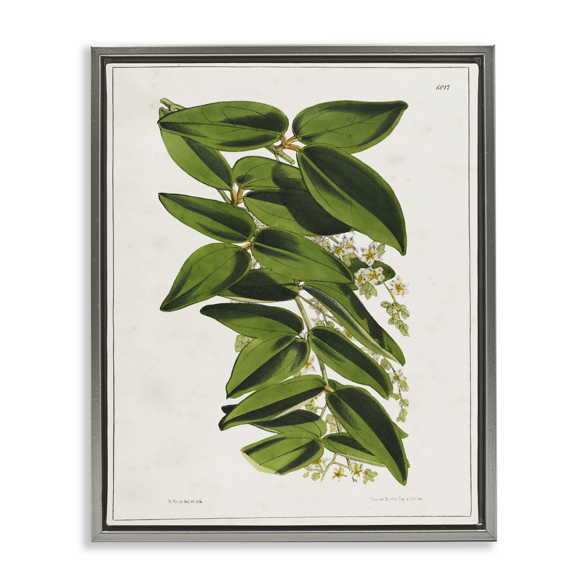 Red Barrel Studio® Stacked Leaves Botanical Floater Canvas Wall Art by ...