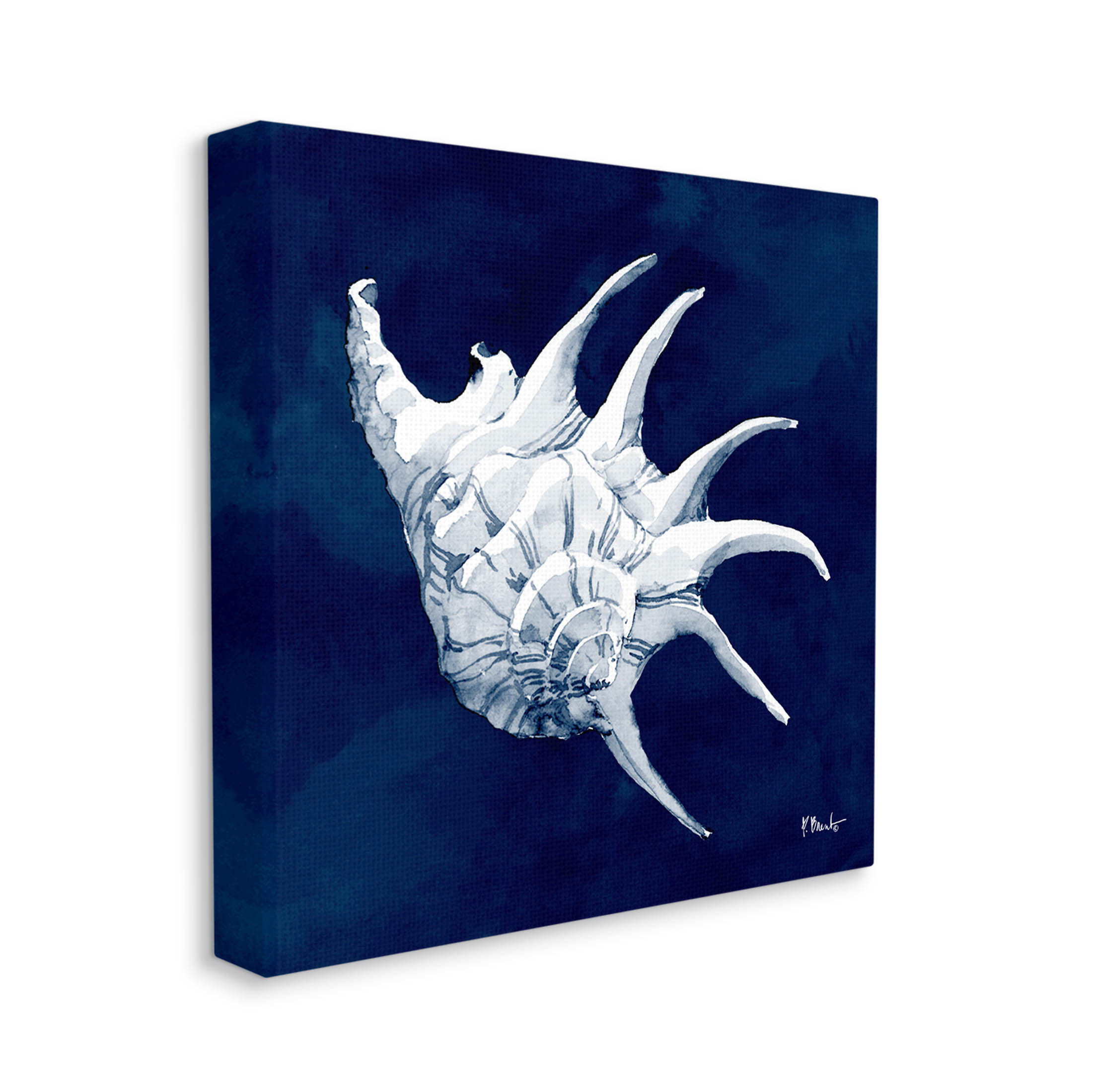 Stupell Industries Cyanotype Shells Traditional Conch by Paul Brent ...
