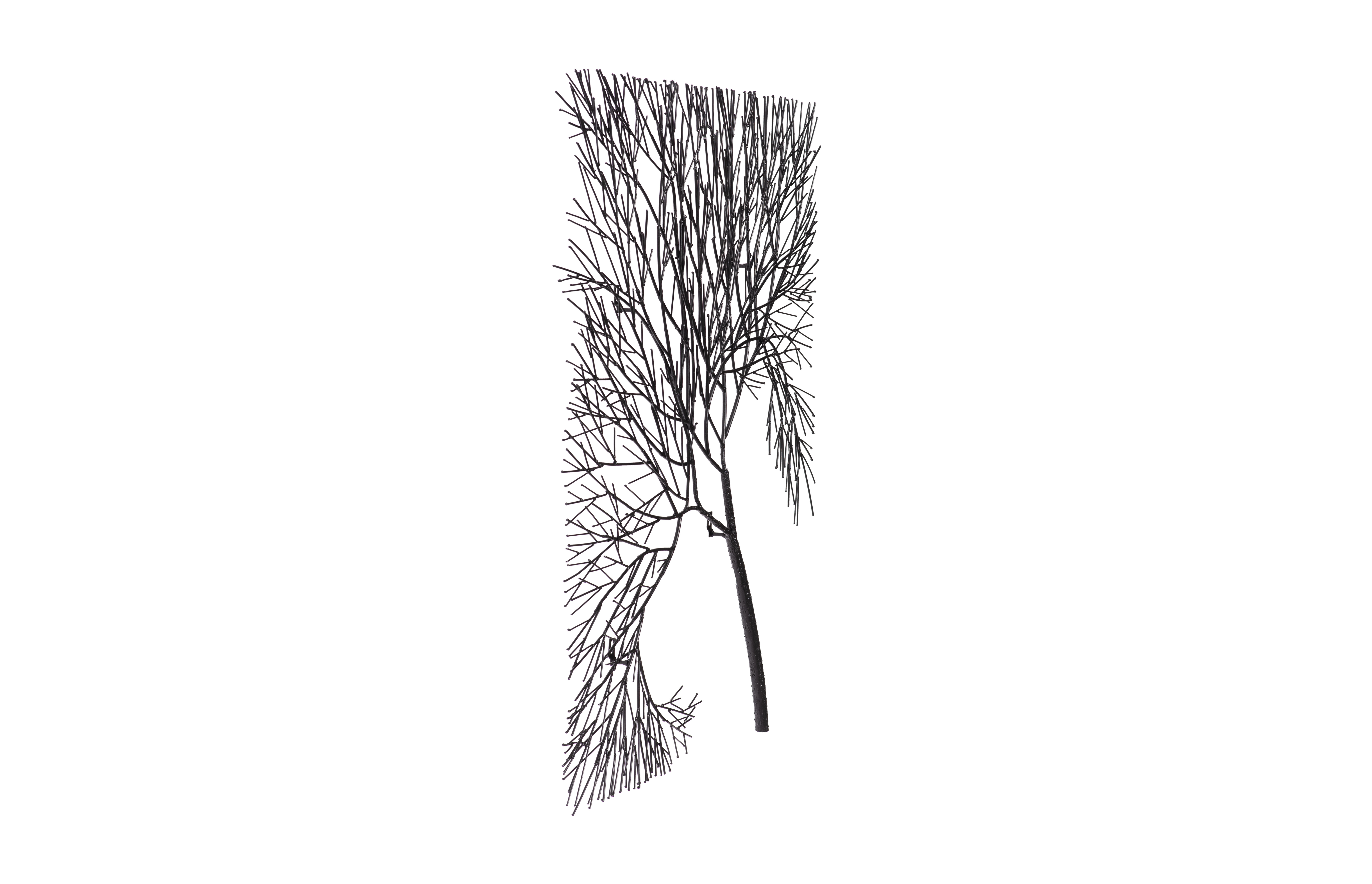 Phillips Collection Wire Tree Wall Décor & Reviews | Wayfair