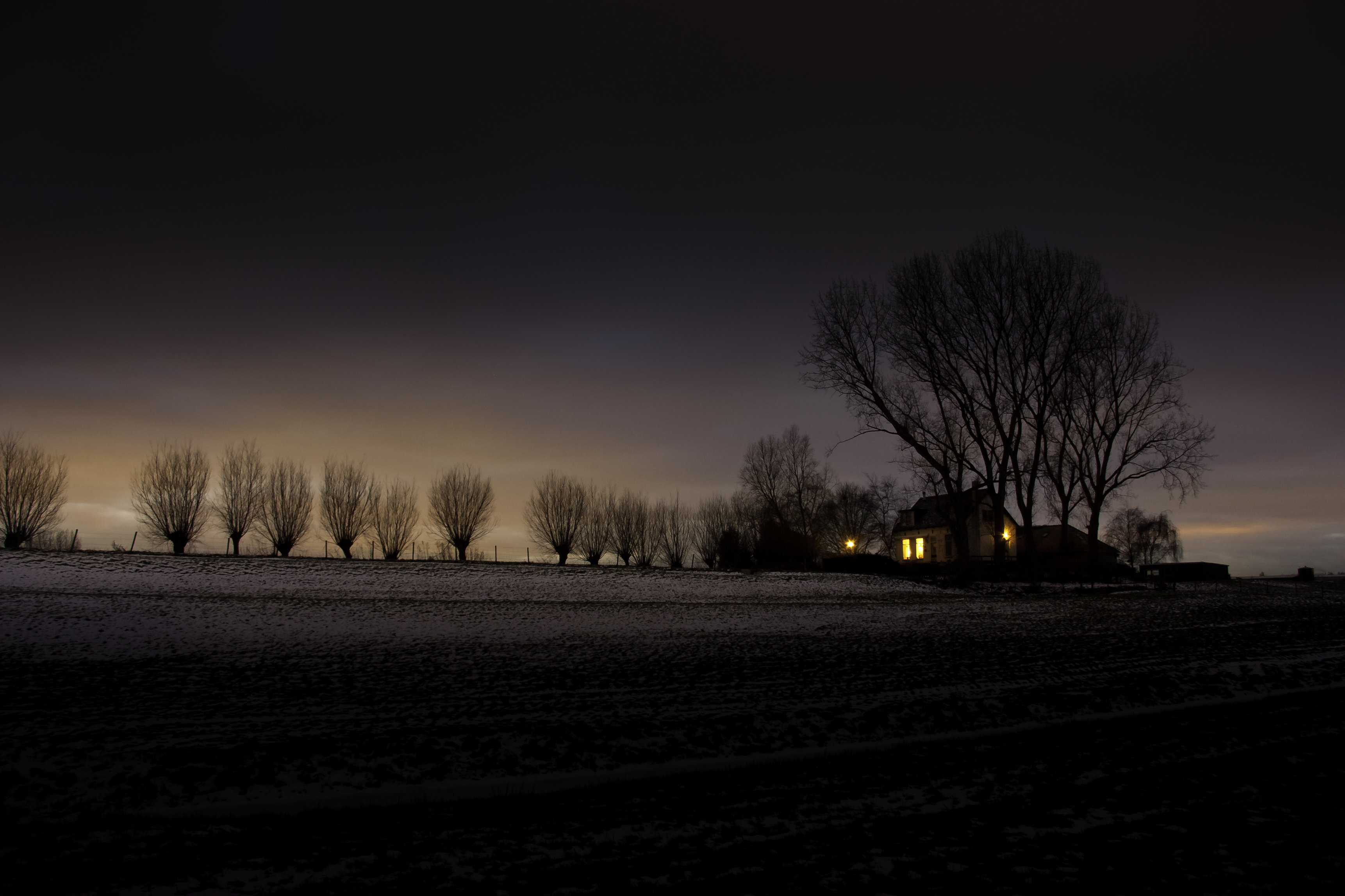 Ebern Designs House in Winter Wonderland by Jaap-Willem | Wayfair