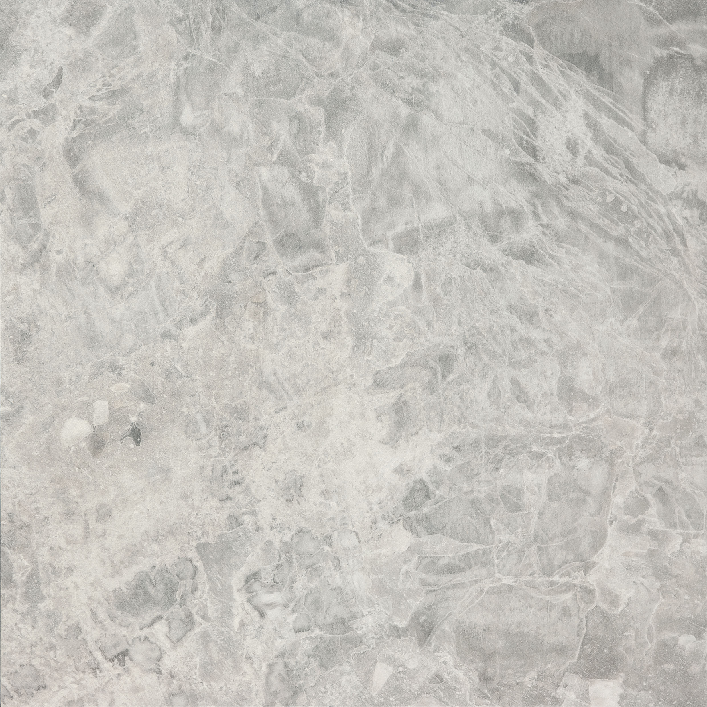 Tile Market Fossil 12" x 24" Porcelain Stone Look Wall & Floor Tile ...
