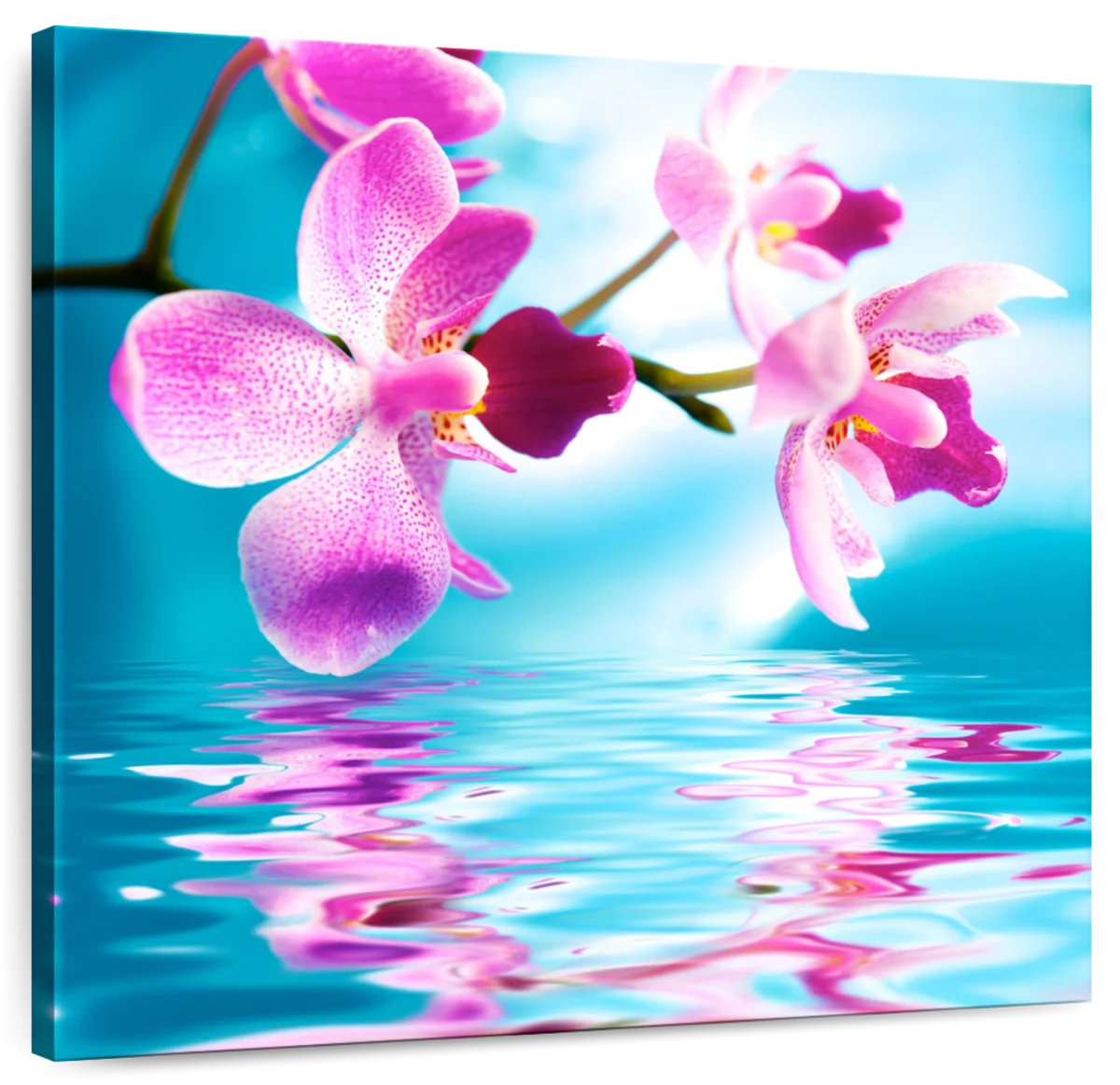 Lark Manor™ Harnek Orchid Ripple | Wayfair