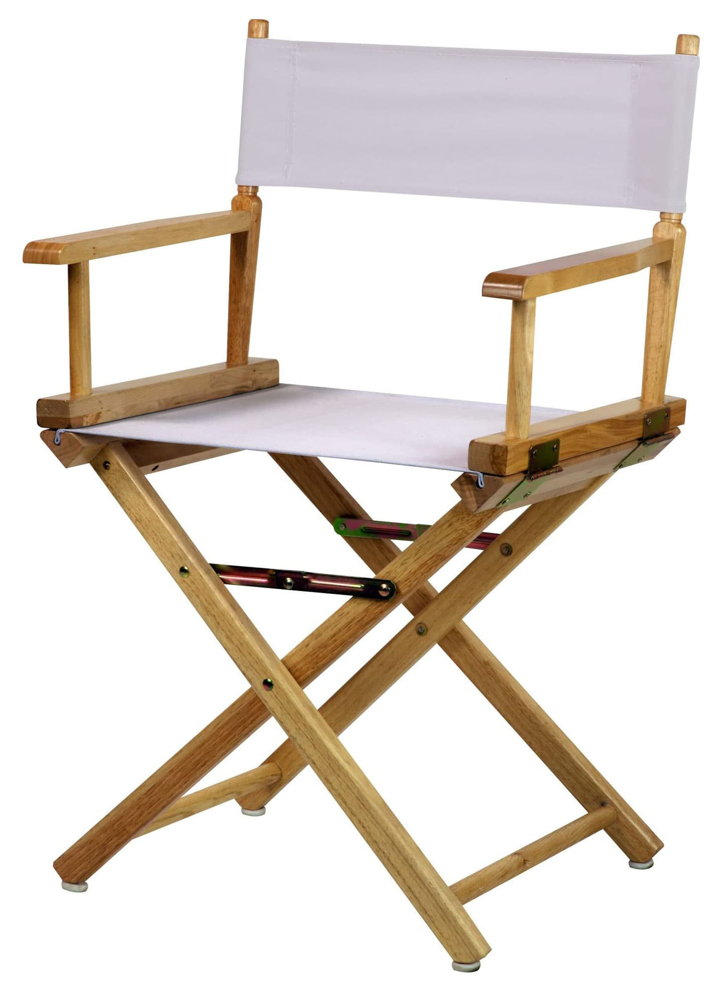 Red Barrel Studio Gleice Director Chair Folding Chair - Wayfair Canada