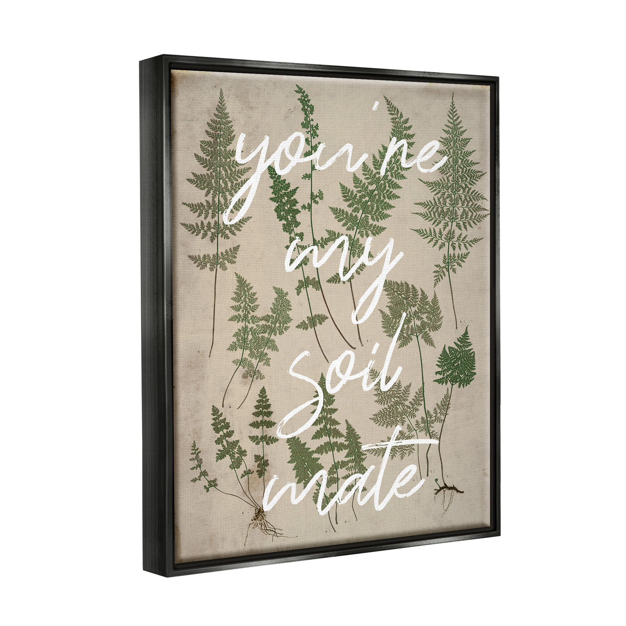 Stupell Industries You''re My Soil Mate Rustic Fern Motif Calligraphy ...