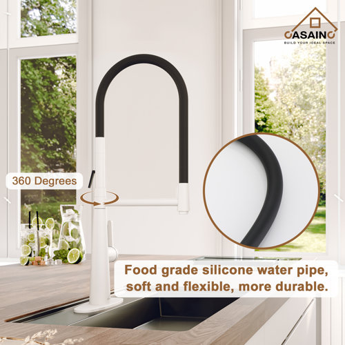 CASAINC Spring Neck Standard Kitchen Faucet with Dual-Function spray ...