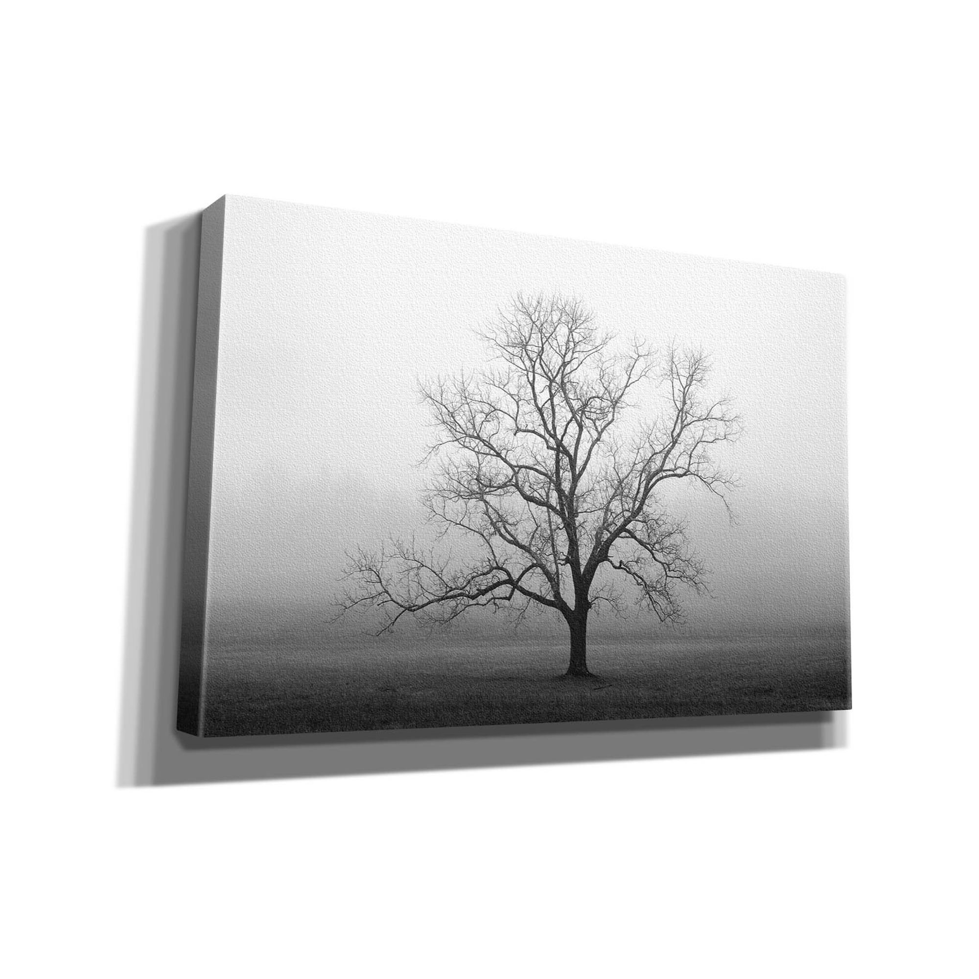 Red Barrel Studio® " Velvet Sunrise " by Nicholas Bell Photography ...