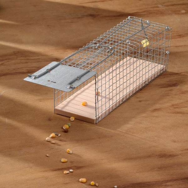 Archie & Oscar Nature Humane Rat Trap 27.5 x 9.5 x 9.5cm | Wayfair.co.uk