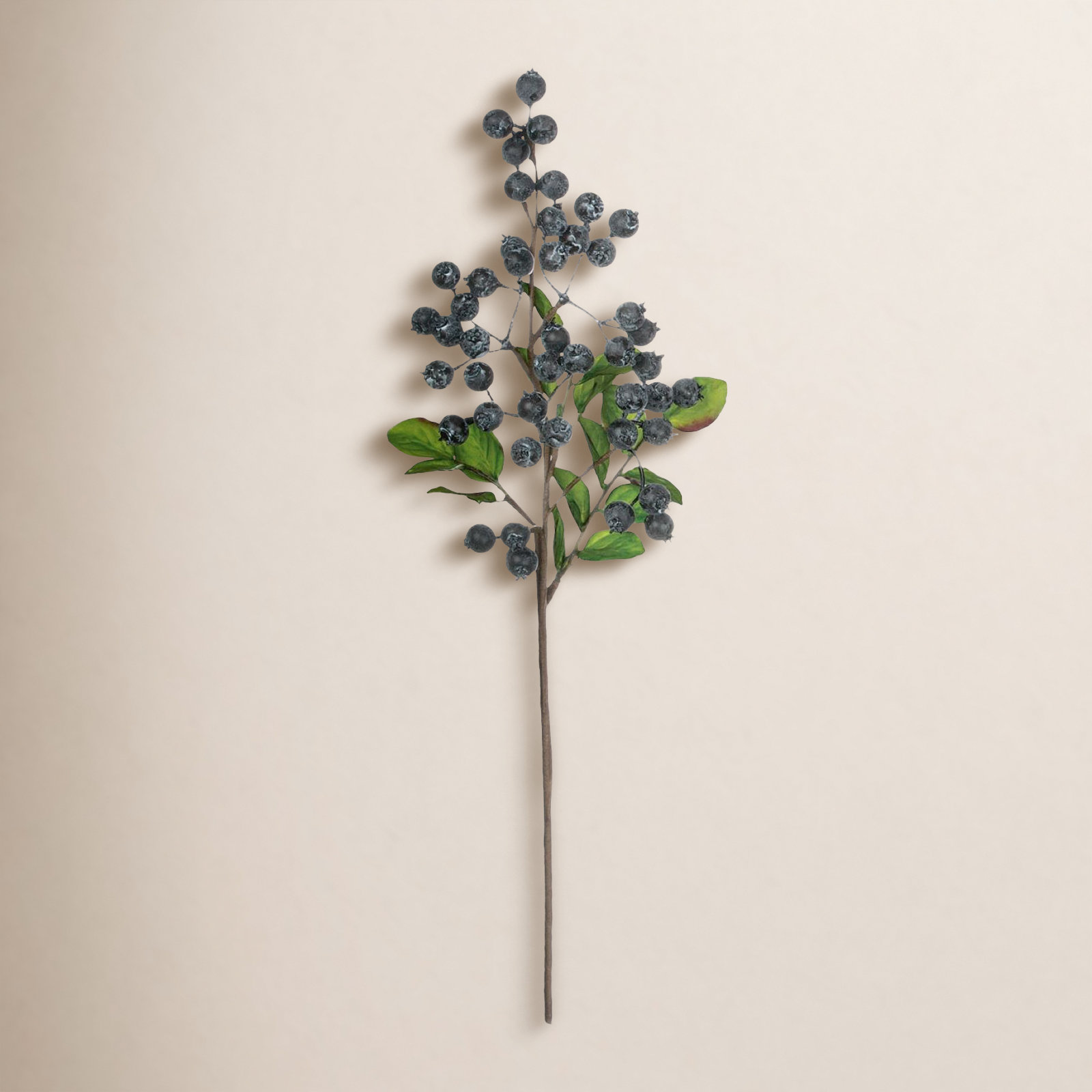Birch Lane™ Carla Berry Stem | Wayfair