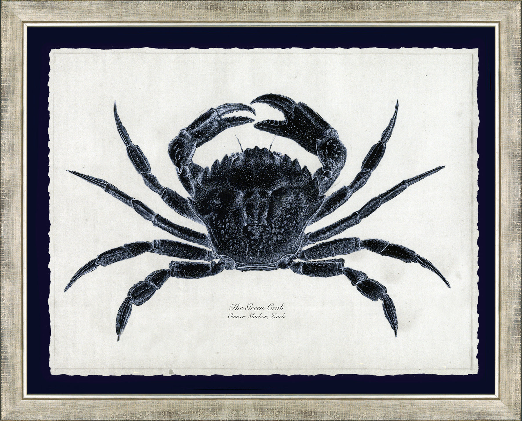 Wendover Art Group The Green Crab - Picture Frame Painting on Paper ...