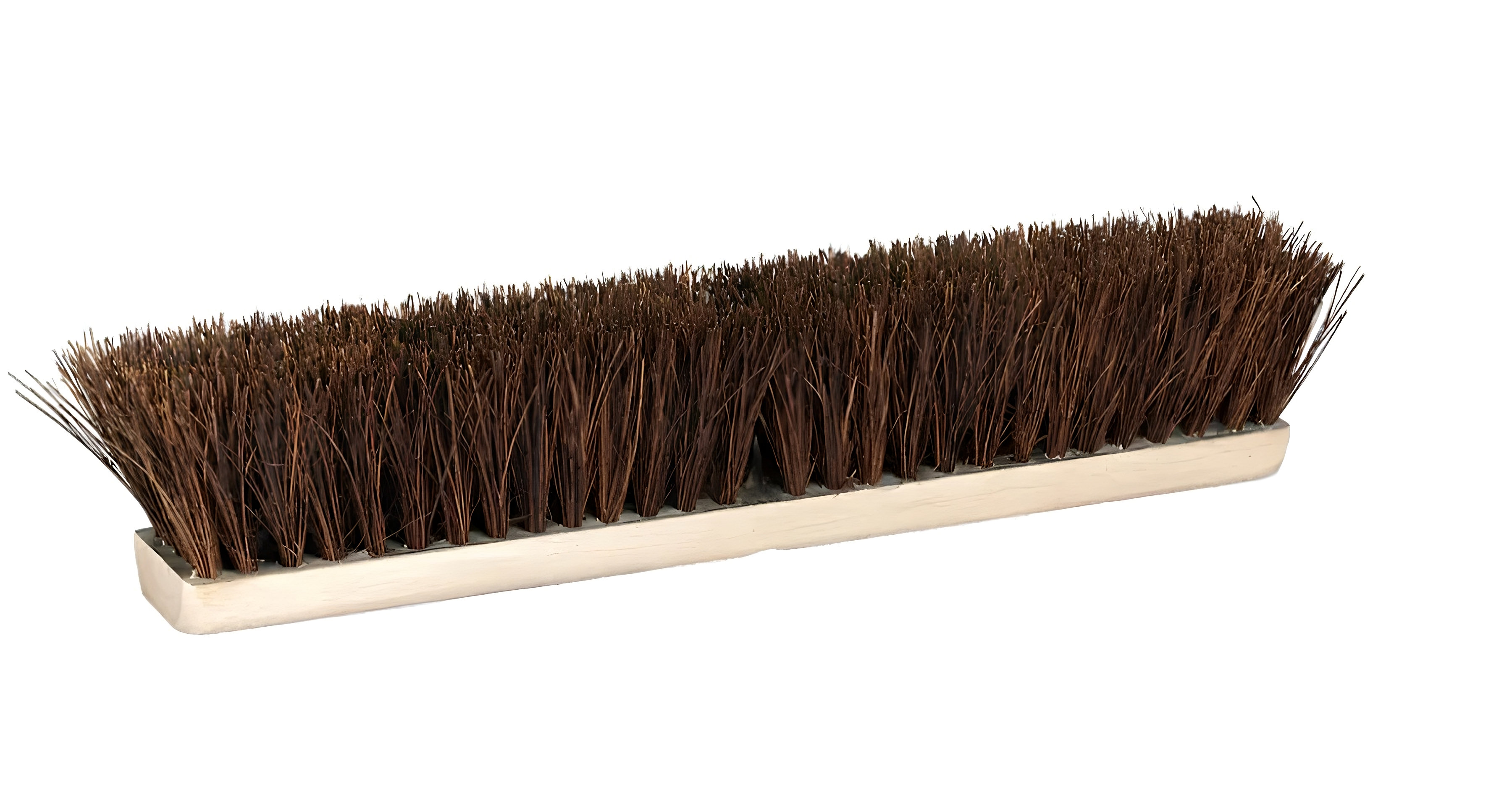 First Concept Inc 24" Palmyra Fibre Push Broom - Wayfair Canada