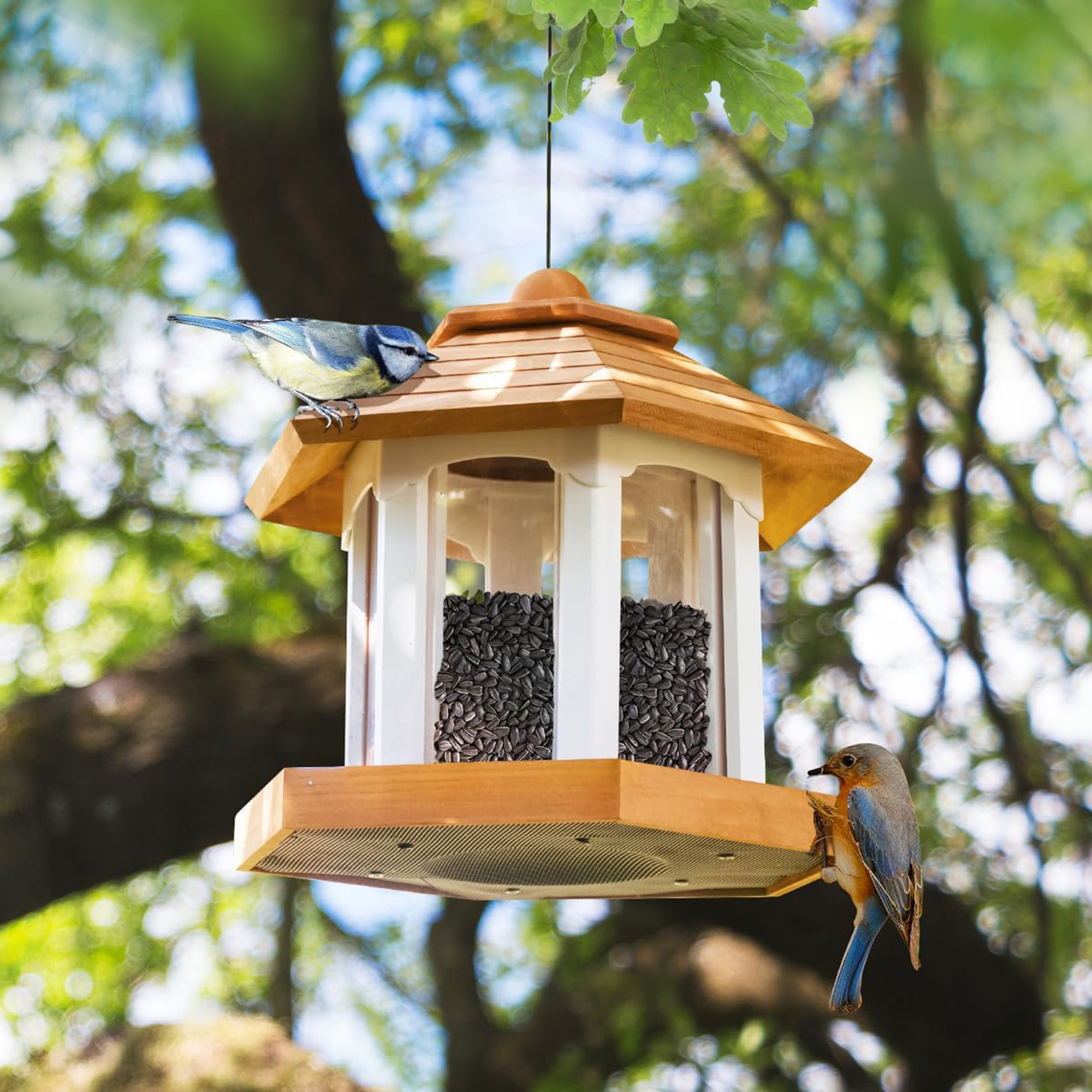 August Grove Large Gazebo Bird Feeders For Outside Clearance - Bird ...