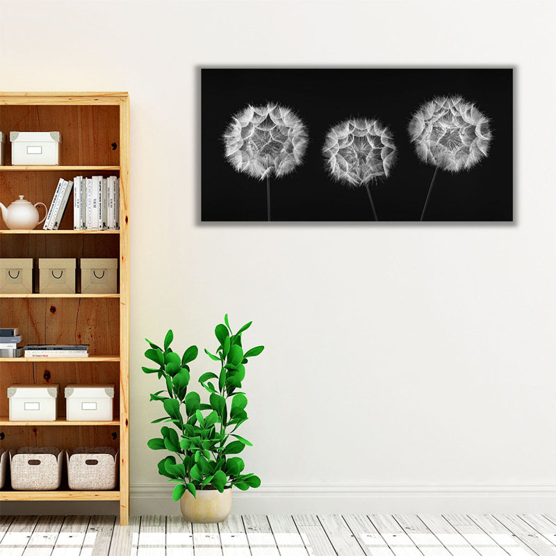 dandelion clock artwork