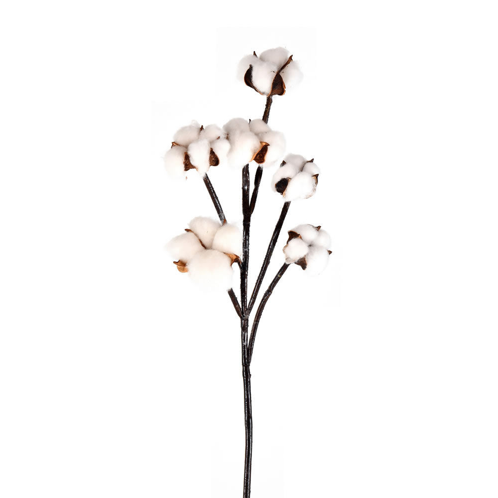 Primrue 3 - Piece Artificial Cotton Branch | Wayfair