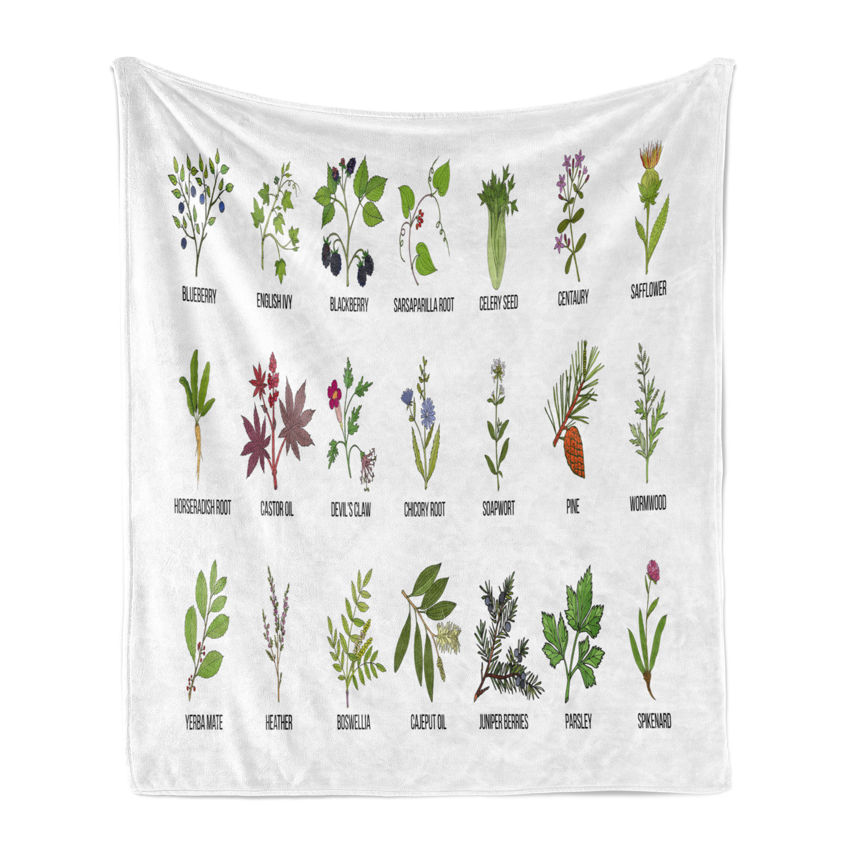Ambesonne Nature Fleece Throw Blanket Botanical Branches Names Fern ...
